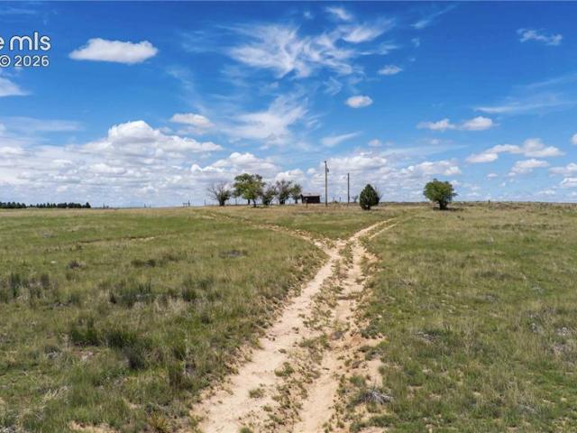 39320 Truckton Rd, Rush, CO 80833 | MLS #6344
