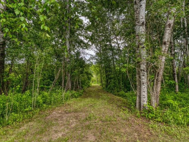 39332 Orchid Trail