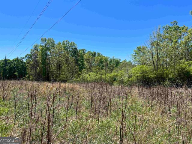 393 381 Old Conyers Rd, Stockbridge, GA 30281 | MLS #10574