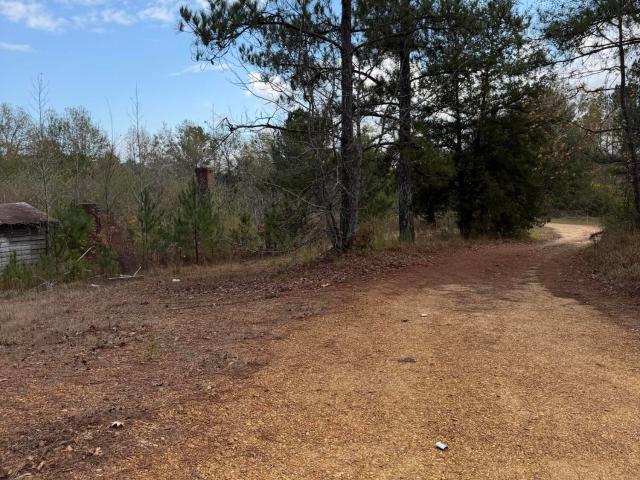393 Cripple Ln SW, Brookhaven, MS 39601 | MLS #4134