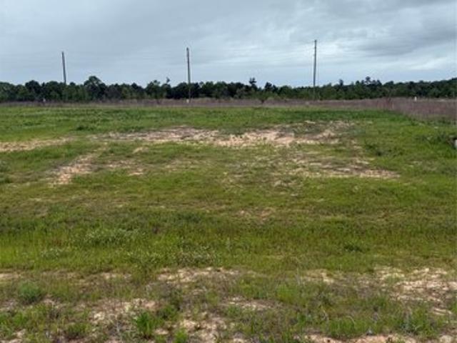393 Road 5915, Cleveland, TX 77327