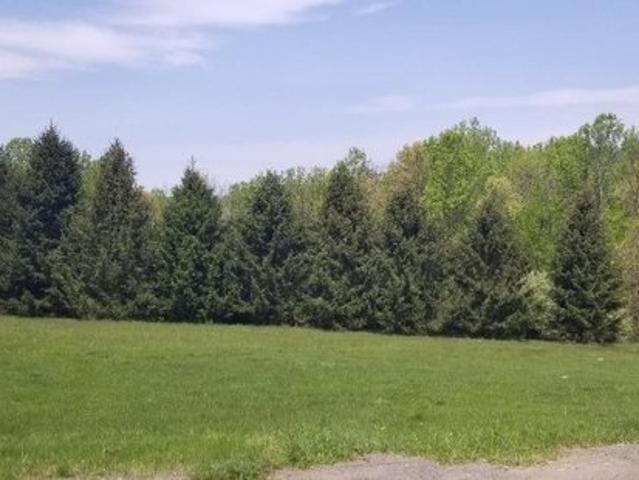 394 Hoffman Rd, Mansfield, NJ 07865