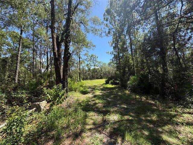 394 N Florene Pt, Crystal River, FL 34429