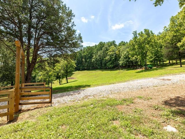 394 Young Hollow Rd