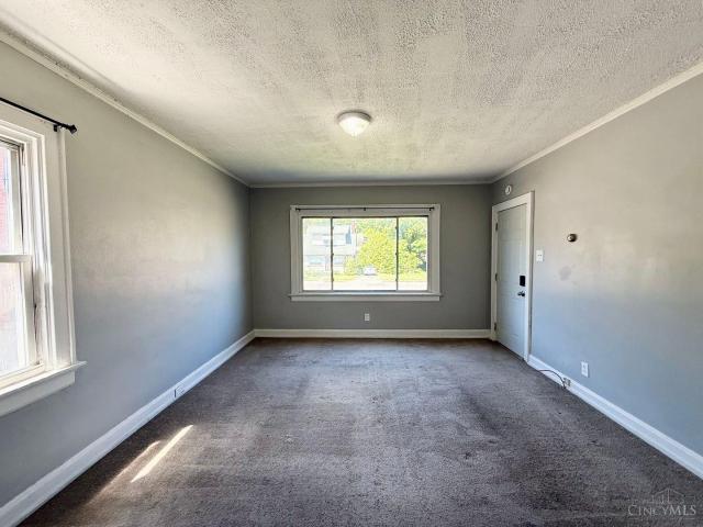 3954 vine
