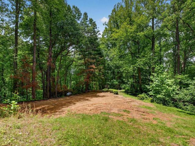 3955 Taylors Mountain Farm Ln