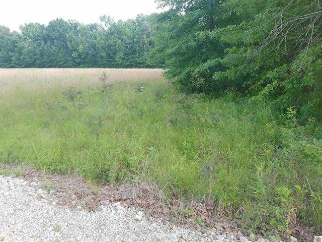 3955 4 Shemwell Ln, Paducah, KY 42003