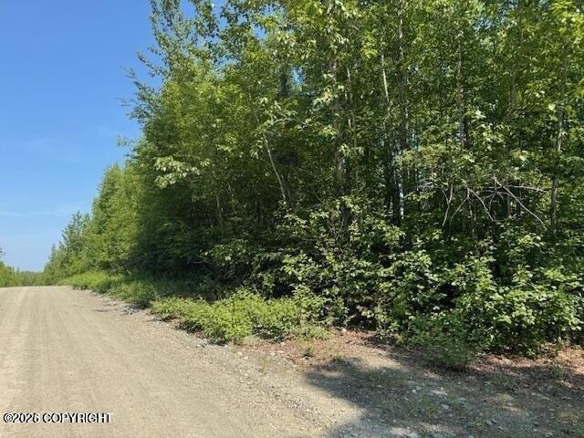 39578 S Malaspina Loop, Talkeetna, AK 99676