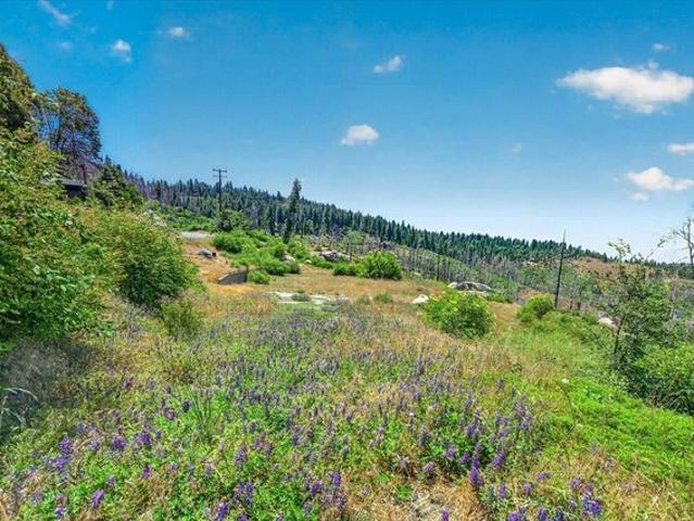 39588 Woodland Rd, Shaver Lake, CA 93664