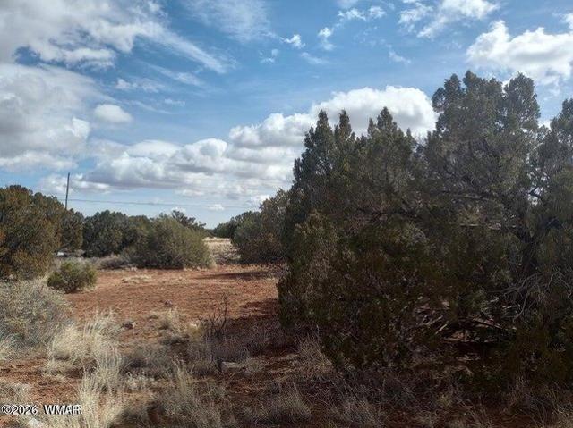 3958 Apache Rd, Snowflake, AZ 85937