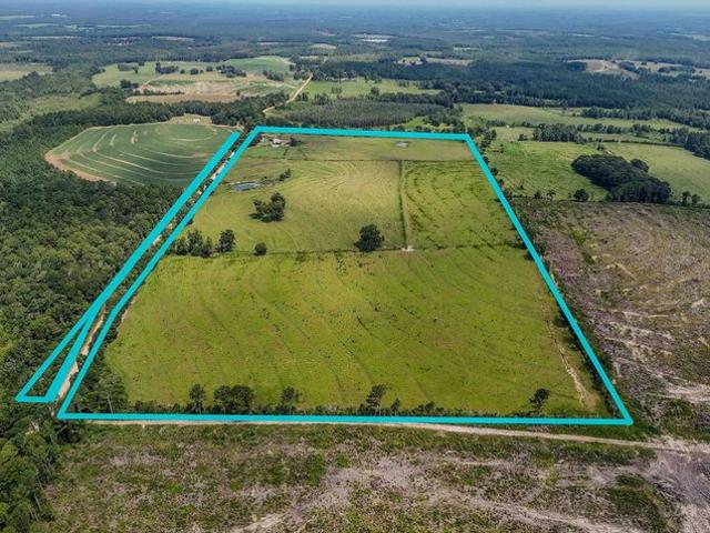 3958 Gopher Ridge Rd, Samson, AL 36477