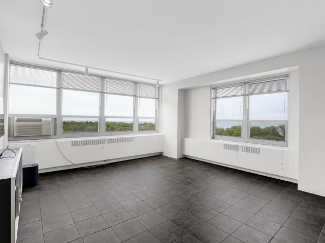 3950 N Lake Shore Drive # 1100A