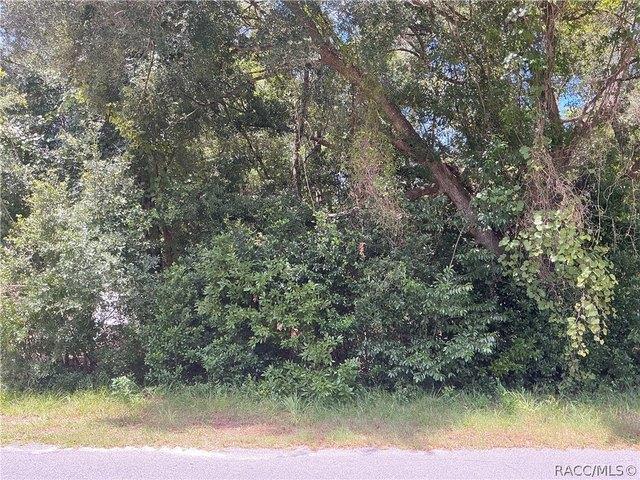 3953 E Sanders St, Inverness, FL 34453
