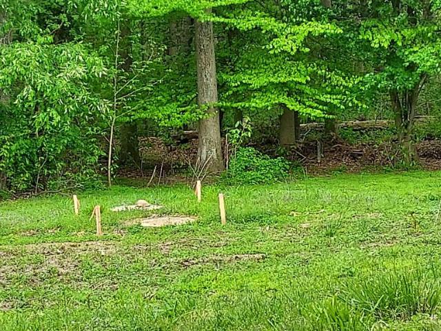 395 Hazelmoor Drive
