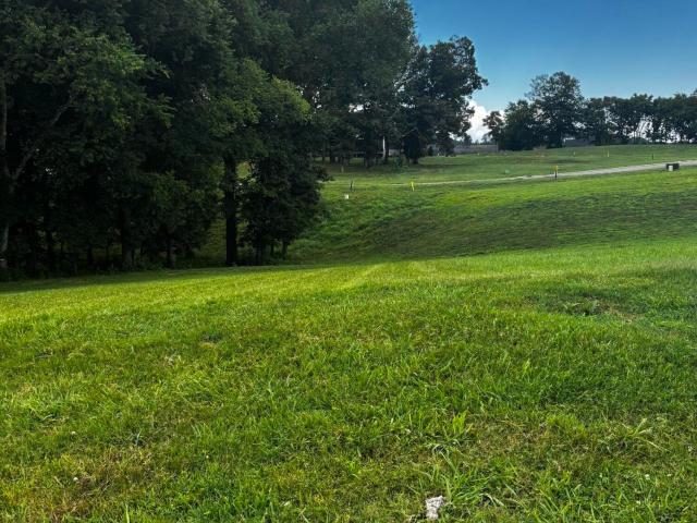 3964 Persimmon Ridge