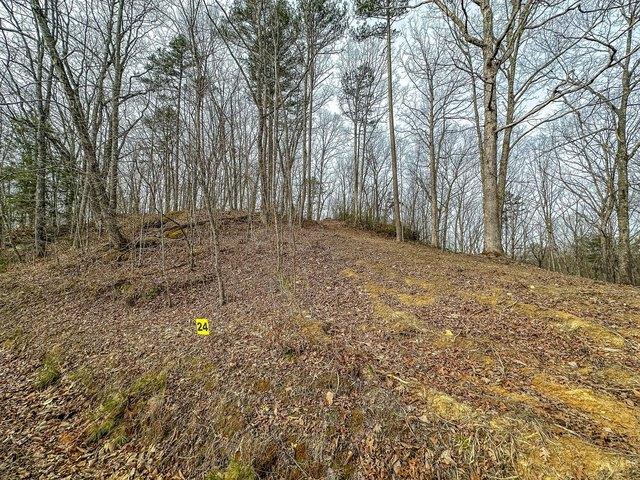 3967 Hazel Patch Rd, East Bernstadt, KY 40729