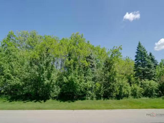 39683 ORCHARD BLUFF LN, WADSWORTH, IL 60083 Vacant Land For Sa.