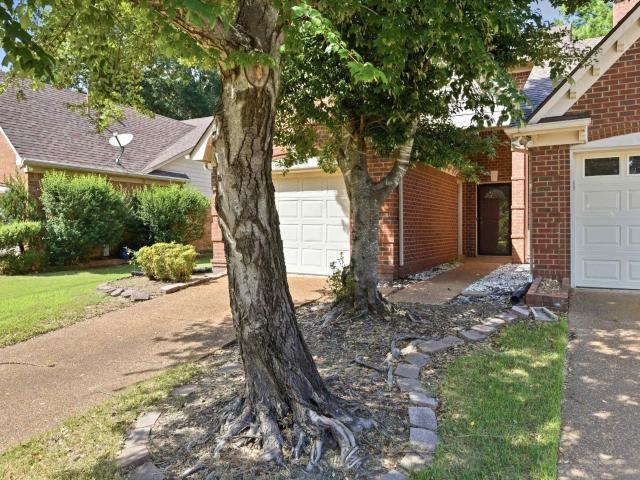 3968 sawgrass dr