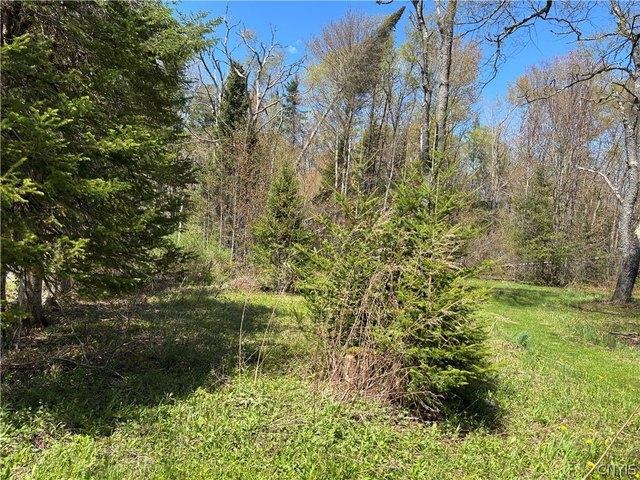 3960 Susquehannah St, Remsen, NY 13438