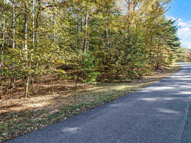 396 397 Windwood Dr, Counce, TN 38326 | MLS #10209