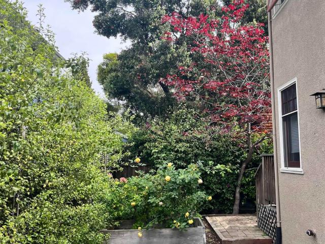 396 62nd Street, Oakland, US, CA