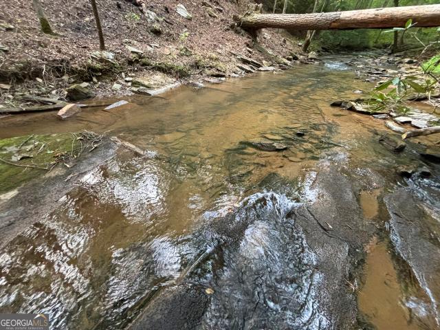 396 Mt Springer Road