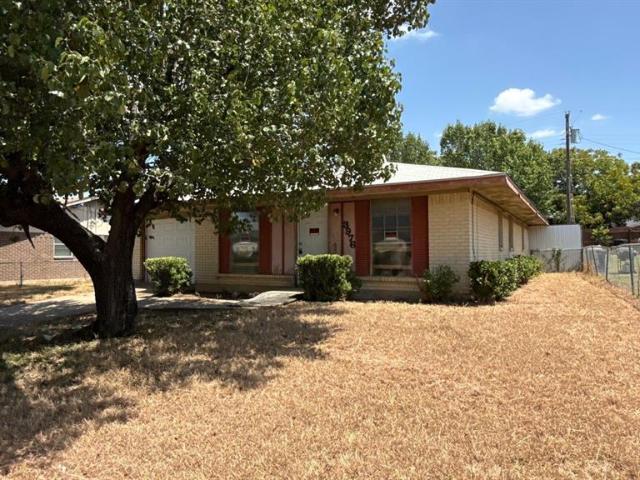 3976 Avocado Drive