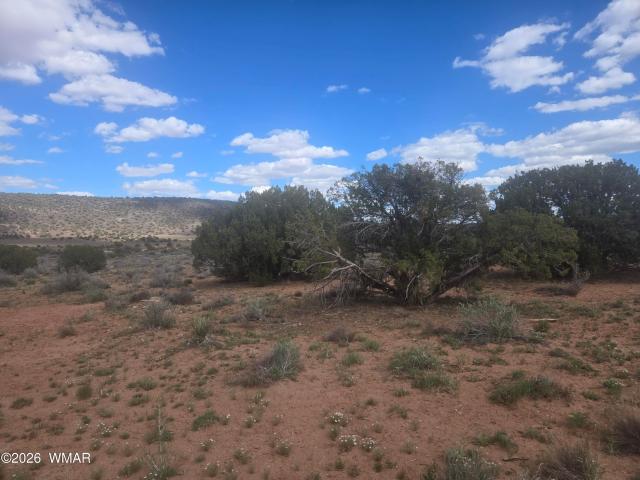 3977 Aztec Road