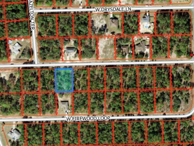 3978 W Fireside Ln, Citrus Springs, FL 34433 | MLS #W7870