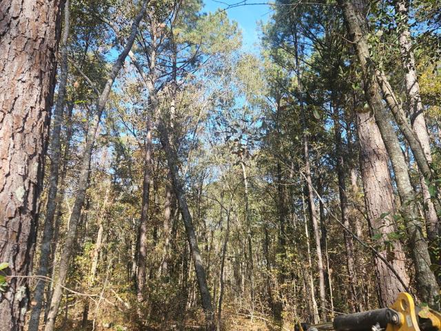 3979 Campground Road