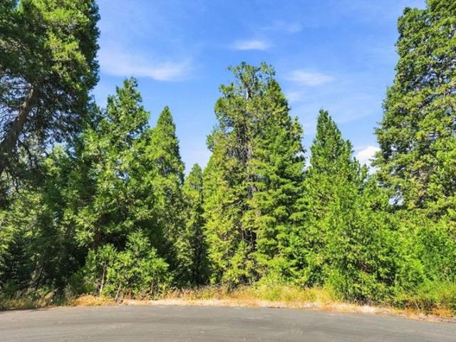 39730 Foxglove Ln, Shaver Lake, CA 93664