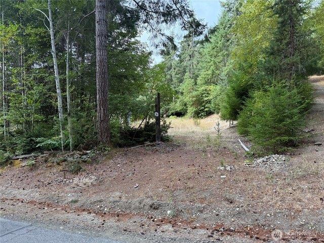 397 NE Larson Lake Rd, Belfair, WA 98528