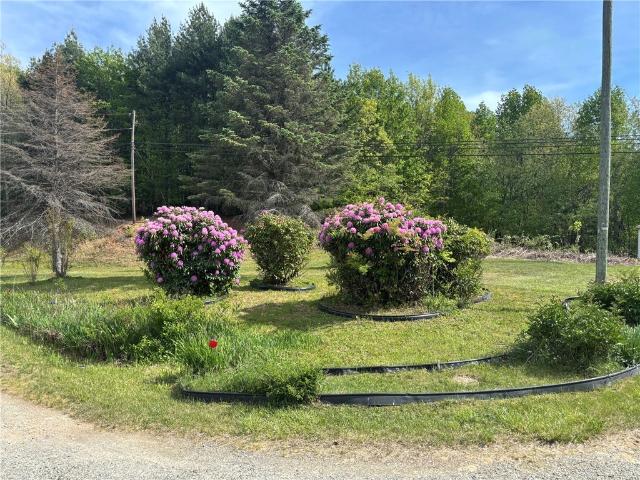 397 US Hwy 221 South Highway