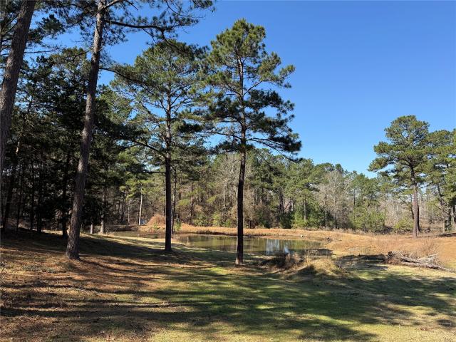 3984 County Road 3100