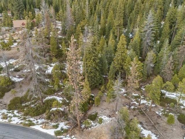 39897 Fawn Lilly, Shaver Lake, CA 93664