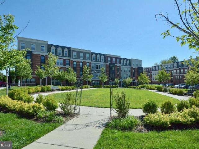 3989 Norton Place # 104