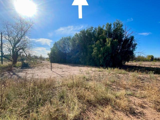 3983 n plantation road #