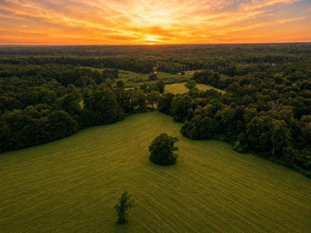 398 County Road 172, Jasper, TX 75951