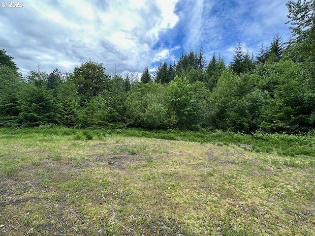 398 Serenity Ln, Kalama, WA 98625