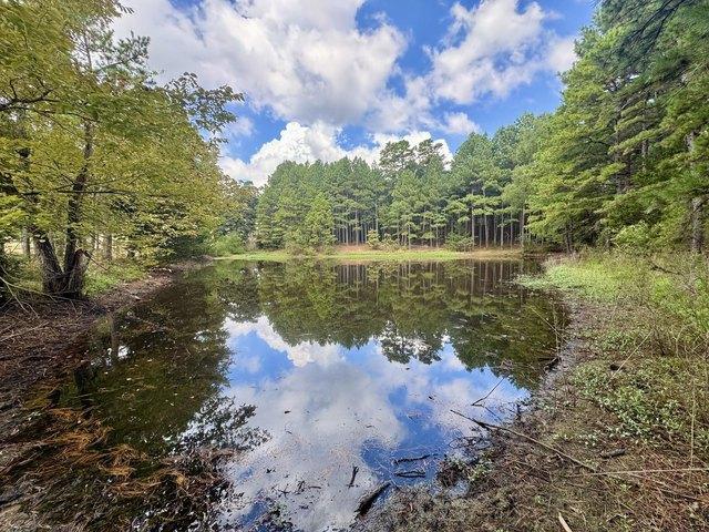 398 Pine Tree Rd, Oxford, AR 72565