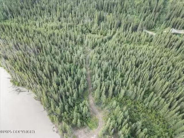 3995 OLD VALDEZ TRL, NORTH POLE, AK 99705