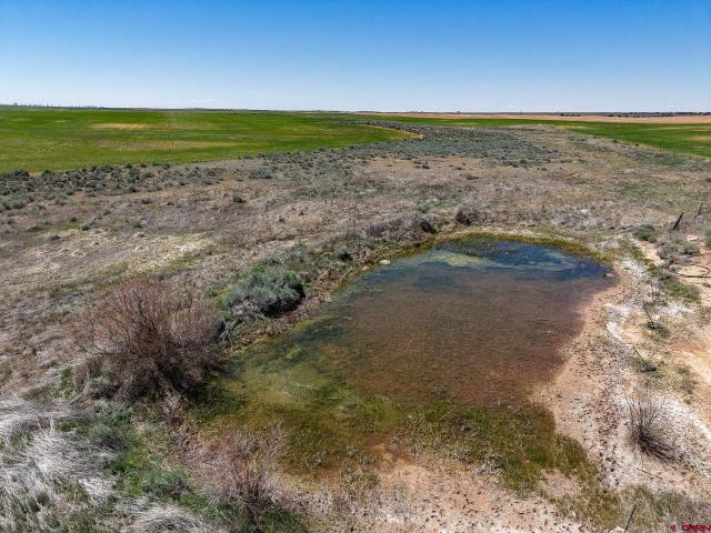 3995 County Road, Dove Creek, CO 81324 | MLS #832336