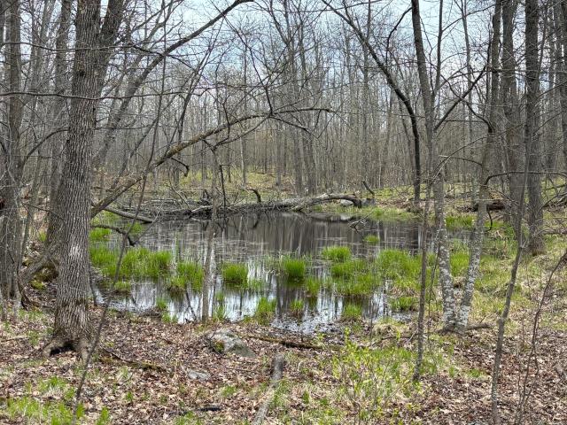 39987 Cass Line Road