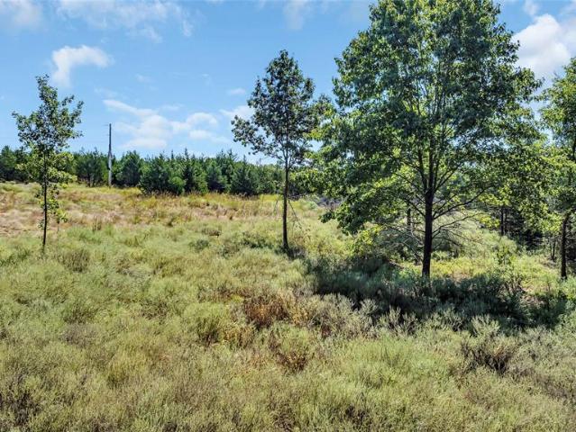 39996 Asher Estates Lane