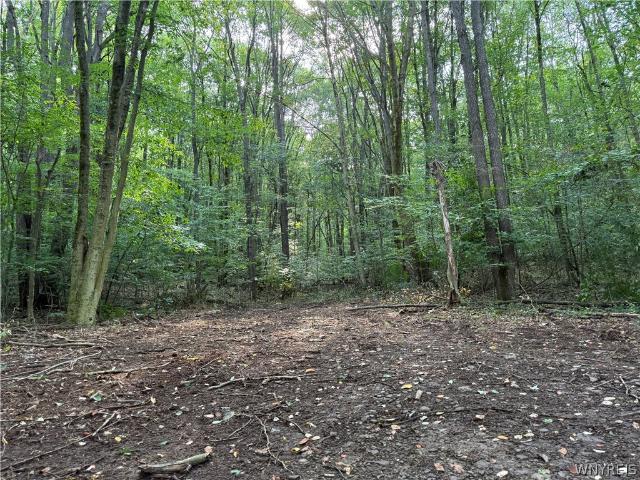 3992 Bear Hollow Road
