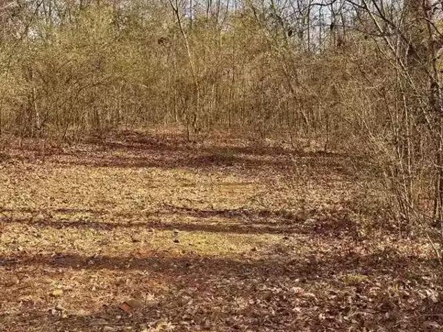 399 12TH AVE SE # 0, GRAYSVILLE, AL 35073 Vacant Land For Sale.