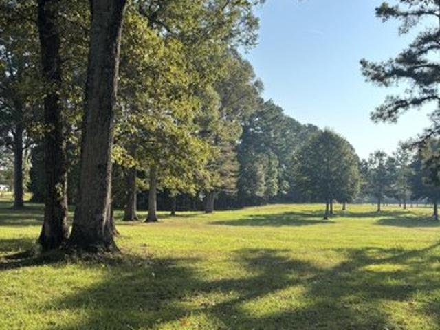 399 Ahtus Melder Survey Rd Lot See, Forest Hill, LA 71430