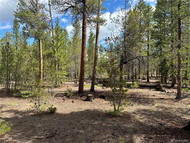 399 Fir Dr, Twin Lakes, CO 81251 | MLS #3375