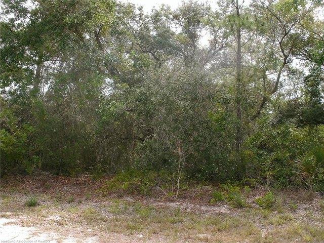 399 Imagination Dr, Lake Placid, FL 33852