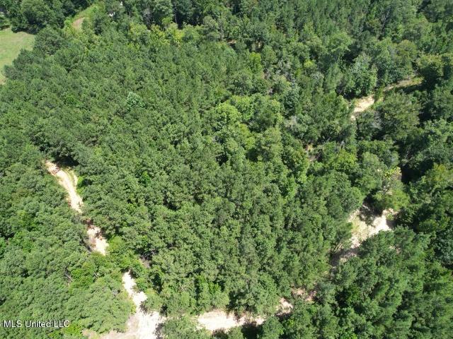 399 NE Dummyline Road